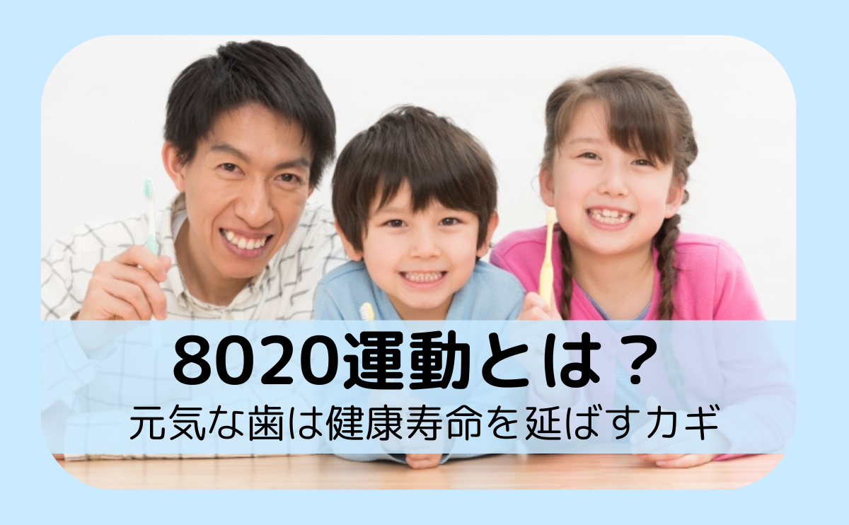 8020運動とは？元気な歯は健康寿命を延ばすカギ - 健康寿命ポータル